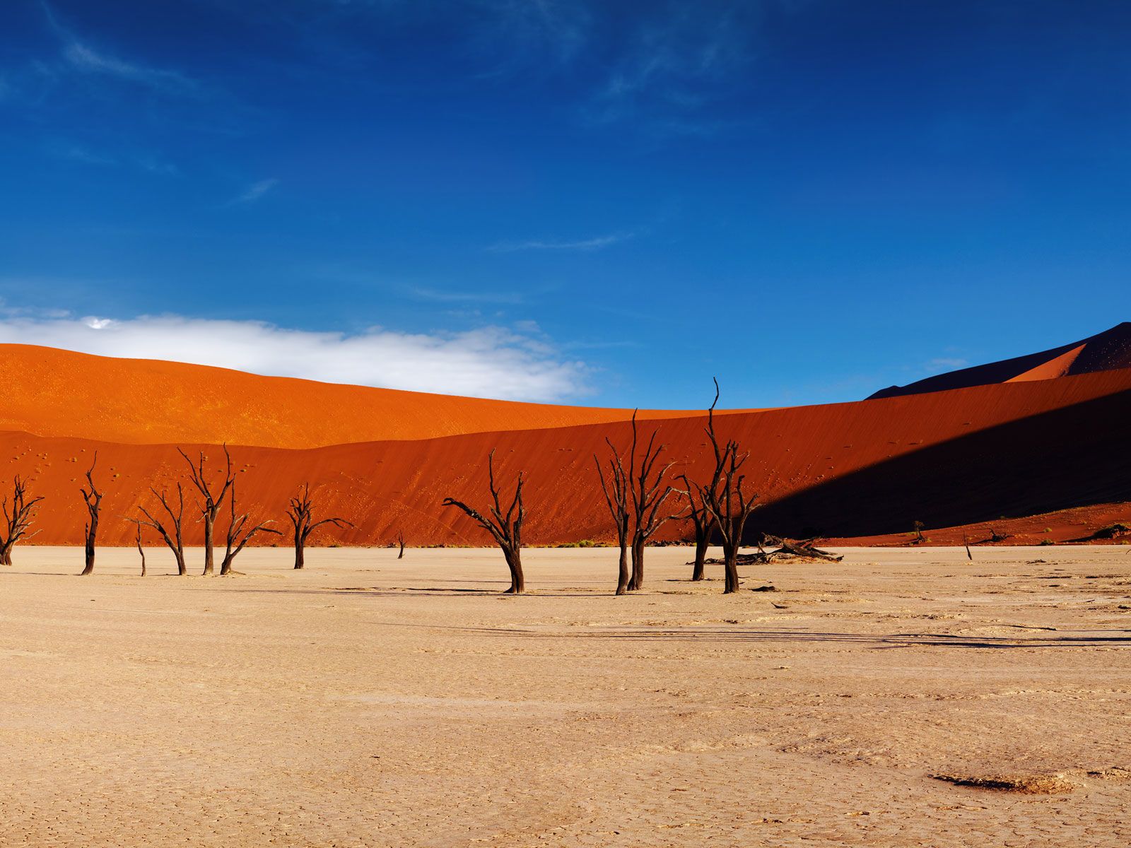 Auf Rundreise in Namibia - airtours